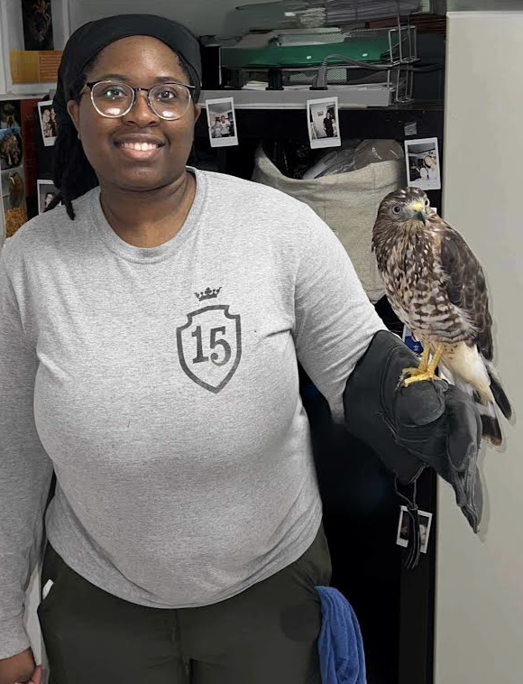 Staff, Board, and Volunteers – Certified Wildlife Rehabilitator